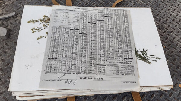 A Plant Library - Carolina Wildlands Foundation