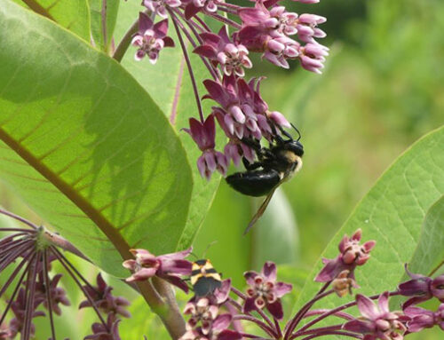 A visit with the Department of Health and Environmental Control
